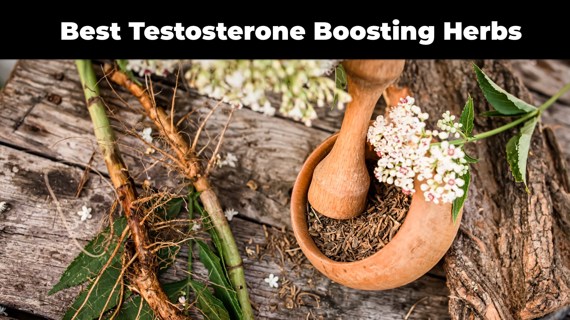 6 Best Testosterone Boost Herbs to Naturally Boost Your Levels ...